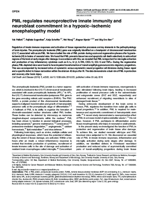 (PDF) PML regulates neuroprotective innate immunity and neuroblast ...