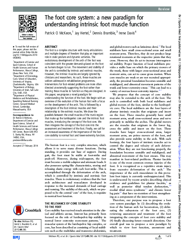 (PDF) The foot core system: a new paradigm for understanding intrinsic ...