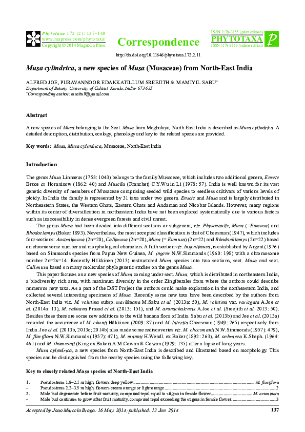 (PDF) Correspondence Musa cylindrica, a new species of Musa (Musaceae ...
