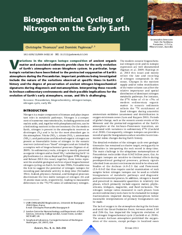 (PDF) Biogeochemical Cycling of Nitrogen on the Early Earth