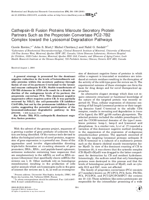 (PDF) Cathepsin-B Fusion Proteins Misroute Secretory Protein Partners ...