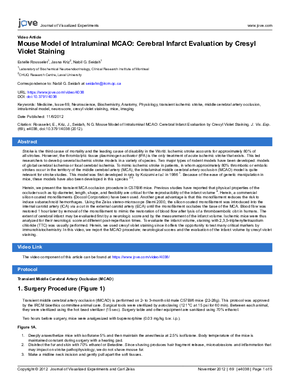 (PDF) Video Article Mouse Model of Intraluminal MCAO: Cerebral Infarct ...