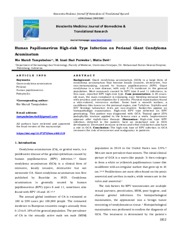 (PDF) Human Papillomavirus High-risk Type Infection on Perianal Giant ...