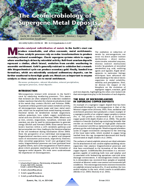 (PDF) The Geomicrobiology of Supergene Metal Deposits