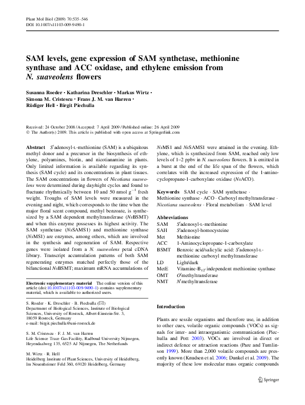 (PDF) Transformative effects of a postmodern group-based leadership ...