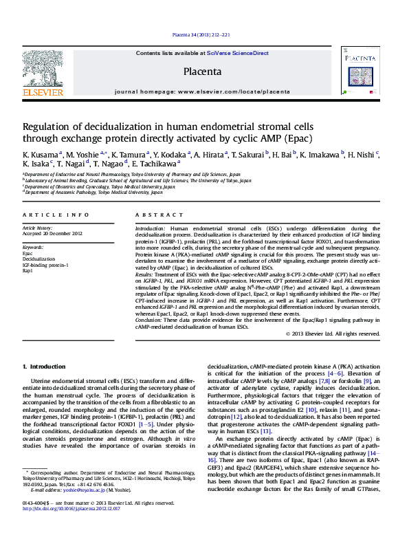 (PDF) Epac/Rap1 Pathway in Decidualization of Human Endometrial Cells