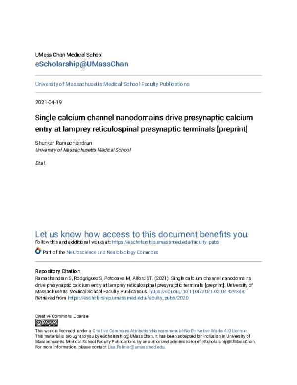 (PDF) Single calcium channel nanodomains drive presynaptic calcium ...