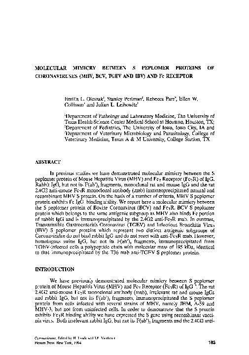 (PDF) Molecular Mimicry between S Peplomer Proteins of Coronaviruses ...