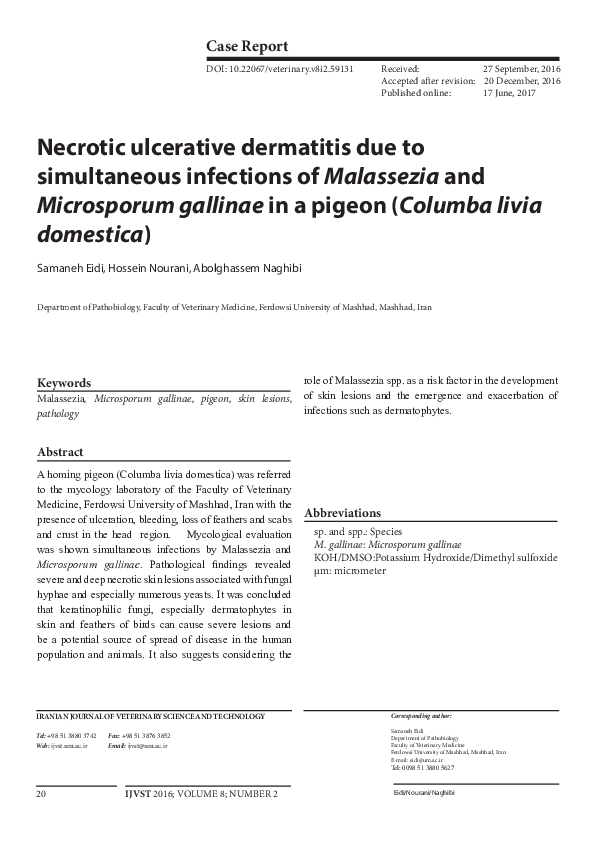 (PDF) IRANIAN JOURNAL OF VETERINARY SCIENCE AND TECHNOLOGY Necrotic ...