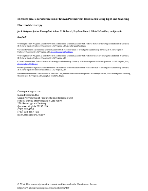 (PDF) Microscopical Characterization of Known Postmortem Root Bands ...