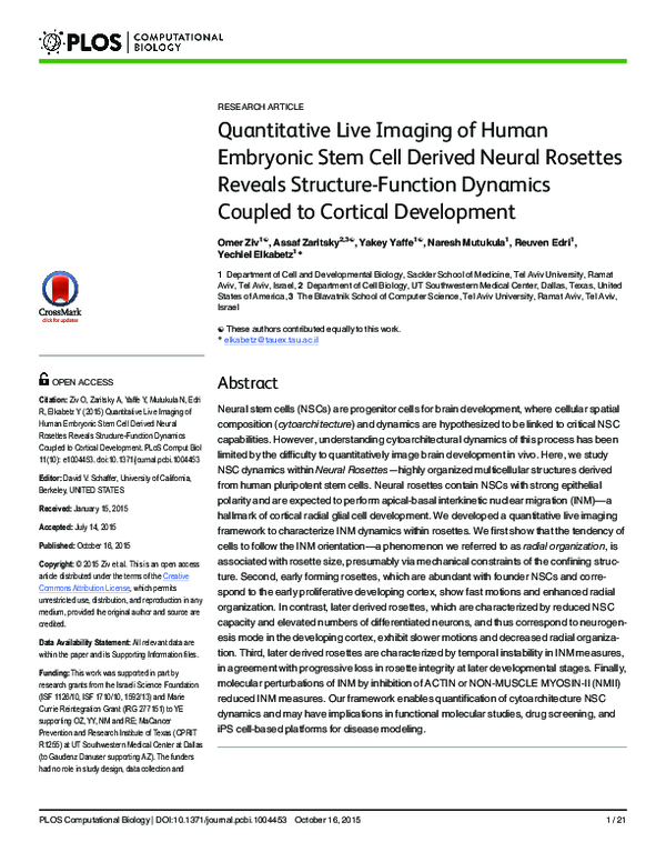 Quantitative Live Imaging of Human Embryonic Stem Cell Derived Neural ...