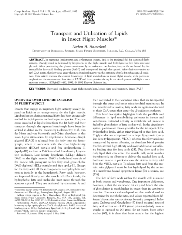 (PDF) Transport and Utilization of Lipids in Insect Flight Muscles*