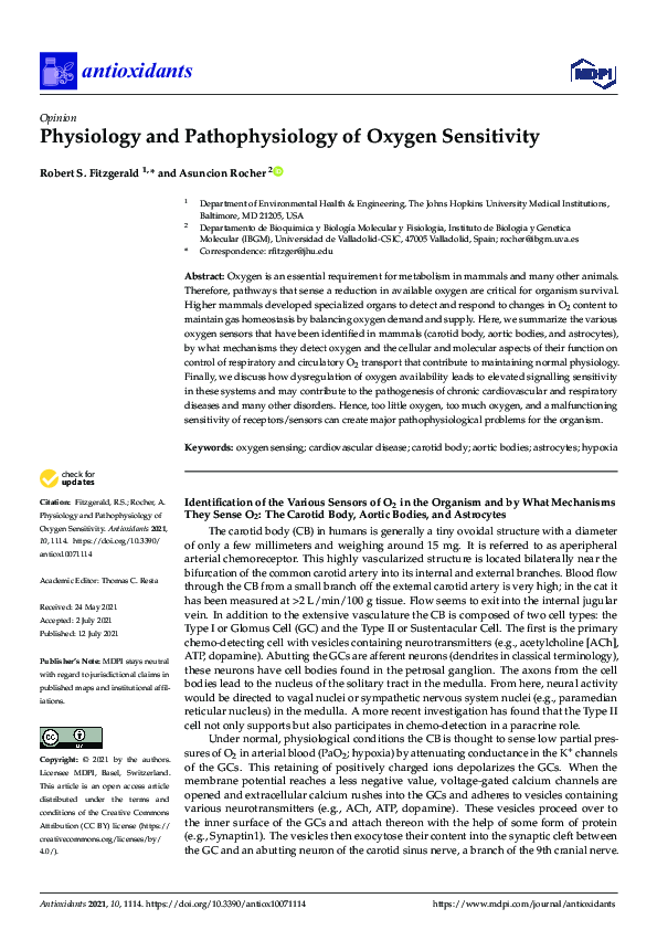 (PDF) Oxygen Sensitivity: Physiology, Pathophysiology, and Sensors