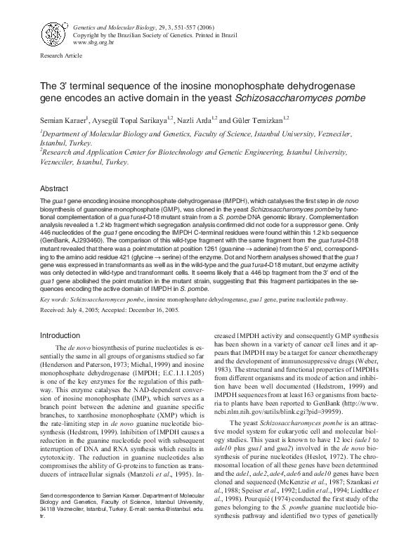 (PDF) The 3' terminal sequence of the inosine monophosphate ...