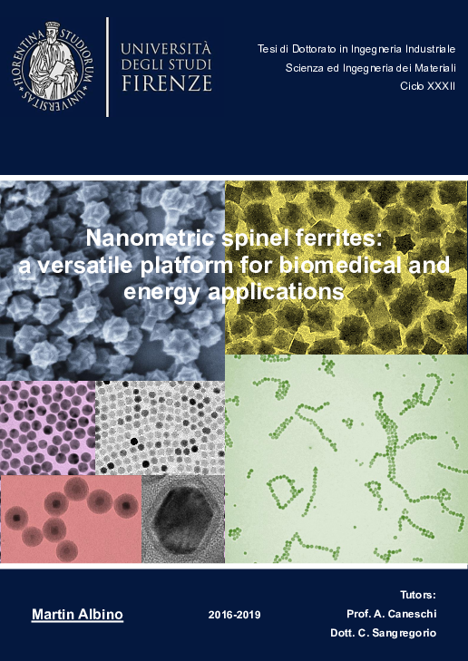 (PDF) Nanometric spinel ferrites: a versatile platform for biomedical ...