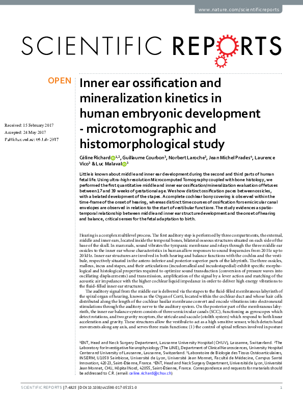 (PDF) Inner ear ossification and mineralization kinetics in human ...