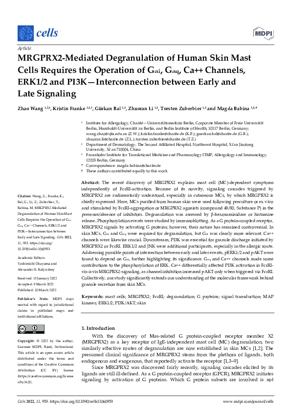 (PDF) MRGPRX2-Mediated Degranulation of Human Skin Mast Cells Requires ...