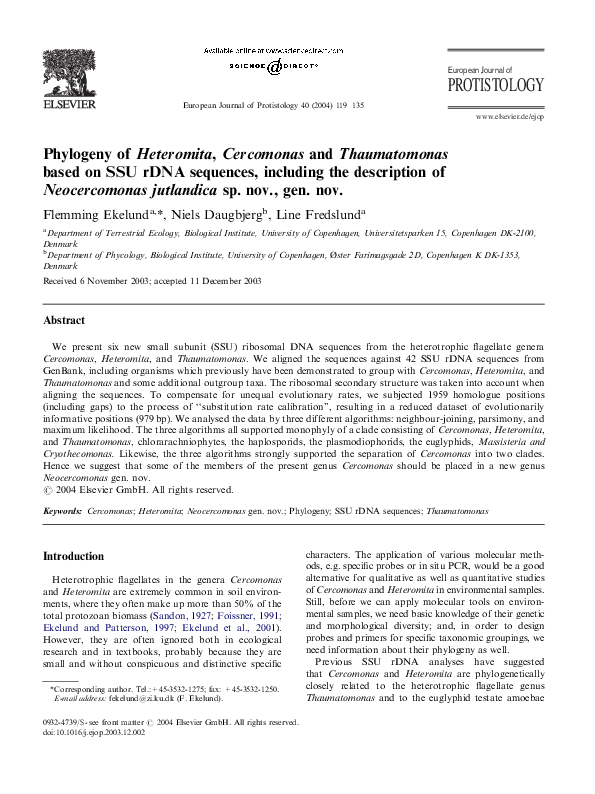 (PDF) Phylogeny of Heteromita, Cercomonas and Thaumatomonas based on ...
