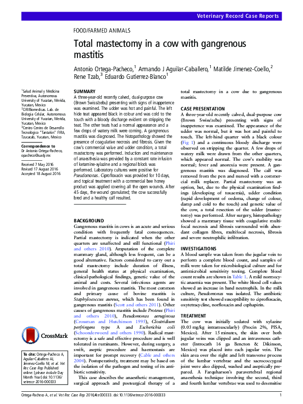 (PDF) Total mastectomy in a cow with gangrenous mastitis