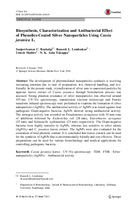 (PDF) Biosynthesis, characterization and antibacterial activity of silver nanoparticles by ...