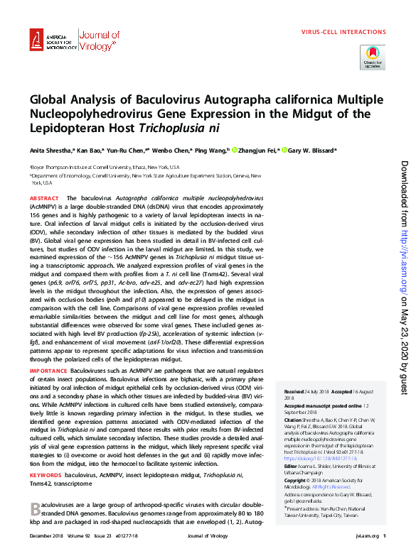(PDF) {"__content__"=>"Global analysis of baculovirus AcMNPV gene ...