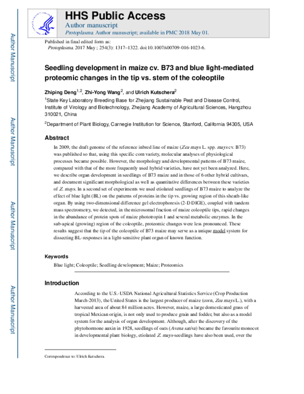 (PDF) Seedling development in maize cv. B73 and blue light-mediated ...
