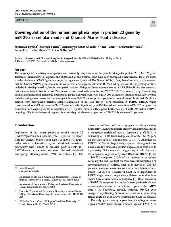 (PDF) The gene for the peripheral myelin protein PMP–22 is a candidate ...