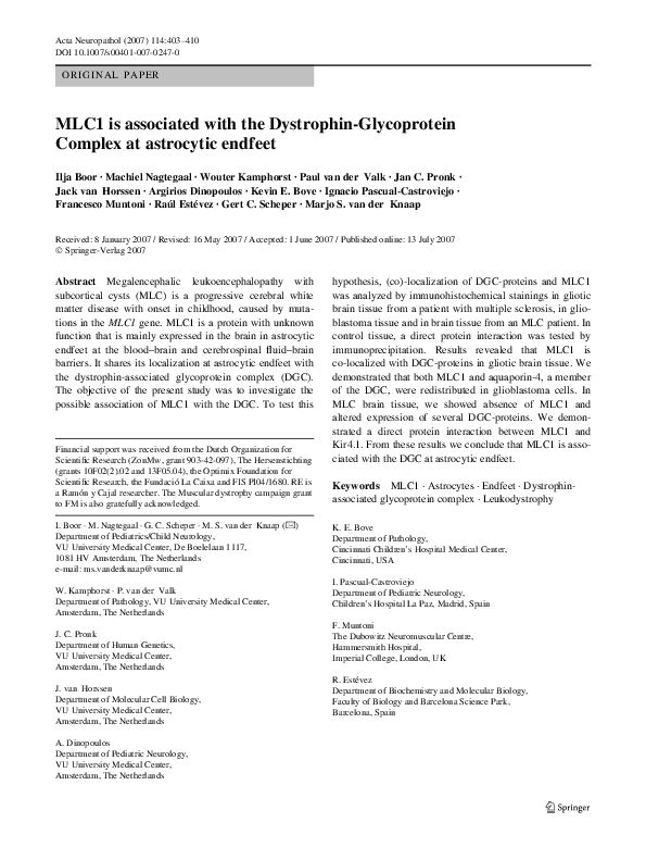 (PDF) MLC1 is associated with the Dystrophin-Glycoprotein Complex at ...