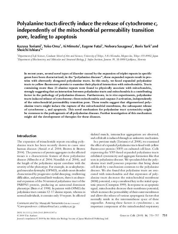 (PDF) Polyalanine tracts directly induce the release of cytochrome c ...