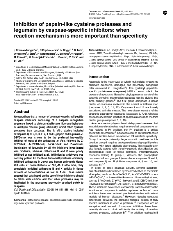 (PDF) Inhibition of papain-like cysteine proteases and legumain by ...