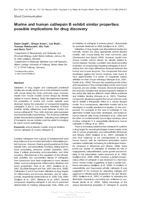 (PDF) Murine and human cathepsin B exhibit similar properties: possible ...
