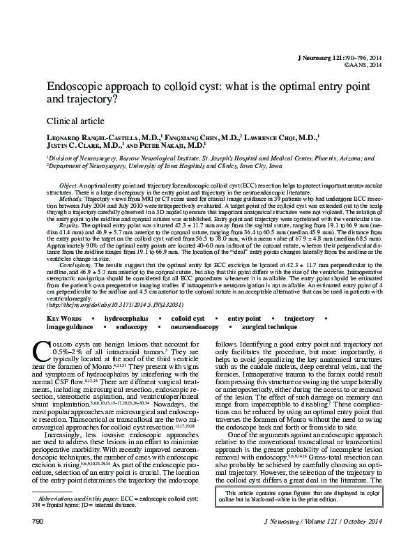 (PDF) Endoscopic approach to colloid cyst: what is the optimal entry ...