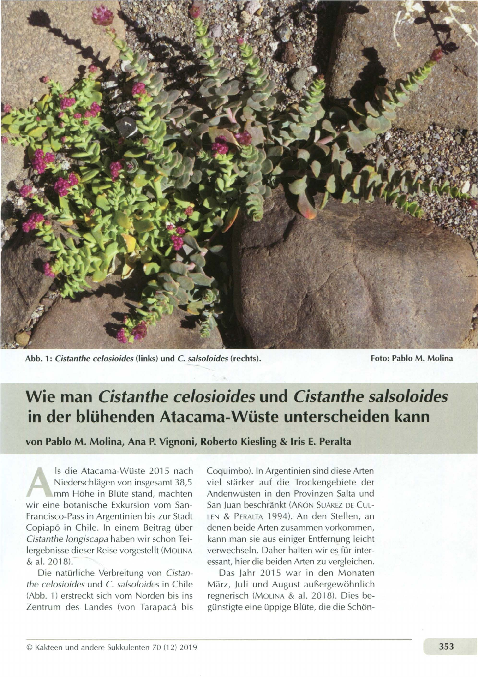 (PDF) Wie man Cistanthe celosioides und Cistanthe salsoloides in der ...