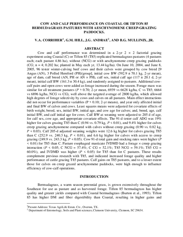 (PDF) Cow and calf performance on Coastal or Tifton 85 Bermudagrass ...