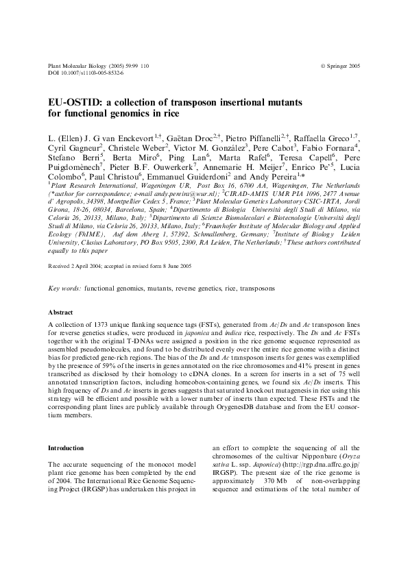 (PDF) EU-OSTID: A Collection of Transposon Insertional Mutants for Functional Genomics in Rice