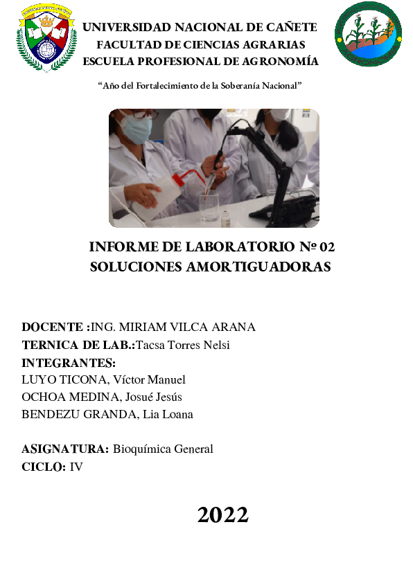 (PDF) SOLUCIONES AMORTIGUADORAS