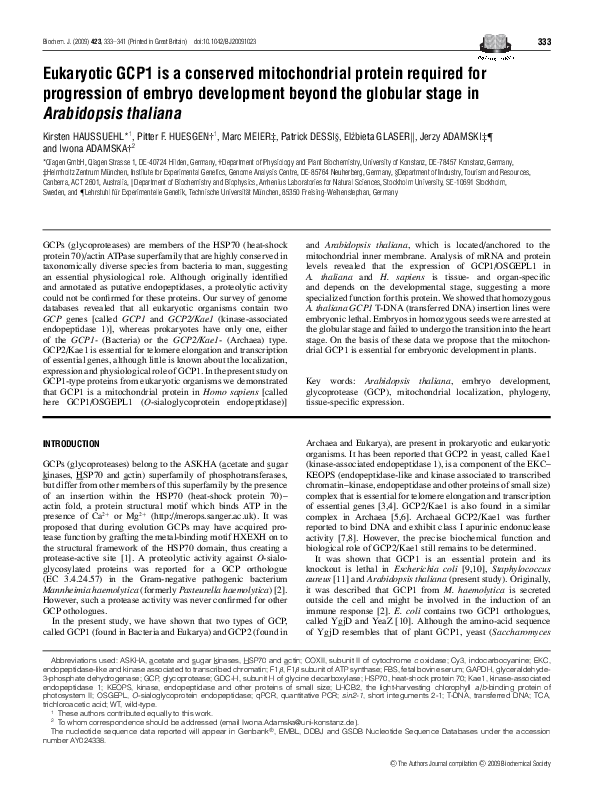 (PDF) Eukaryotic GCP1 is a conserved mitochondrial protein required for ...