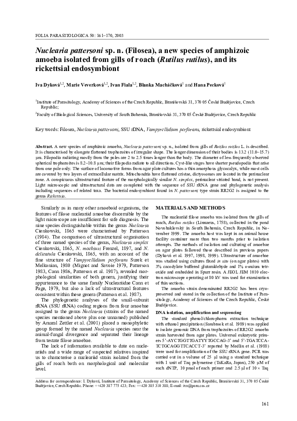 (PDF) Nuclearia pattersoni sp. n. (filosea), a new species of amphizoic ...
