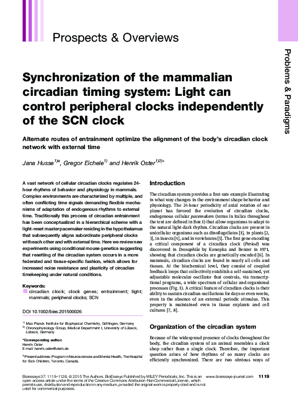 (PDF) Synchronization of the mammalian circadian timing system: Light ...