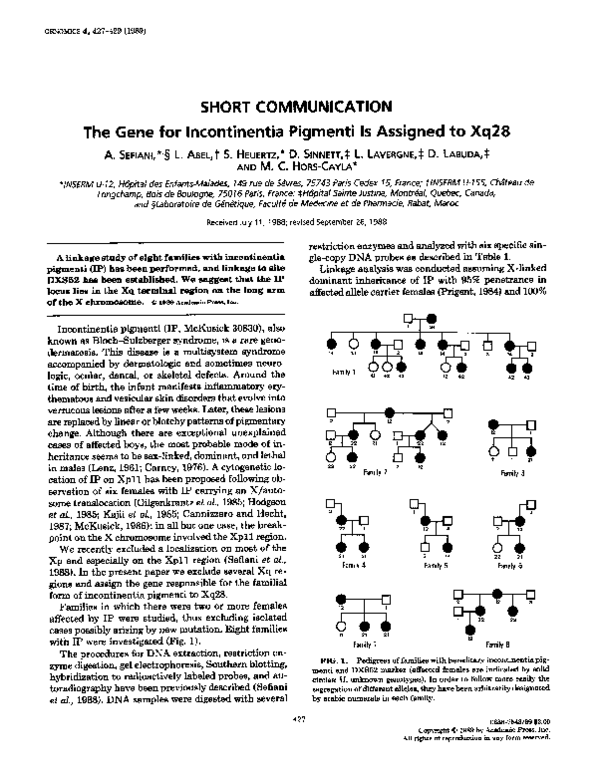 (PDF) The gene for incontinentia pigmenti is assigned to Xq28