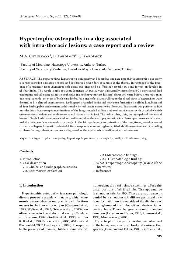 (PDF) Hypertrophic osteopathy in a dog associated with intra-thoracic ...