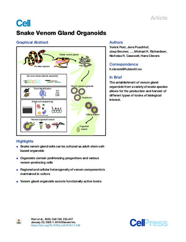 (PDF) Snake Venom Gland Organoids