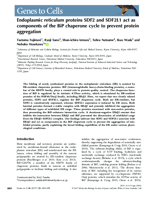(PDF) Endoplasmic reticulum proteins SDF2 and SDF2L1 act as components ...