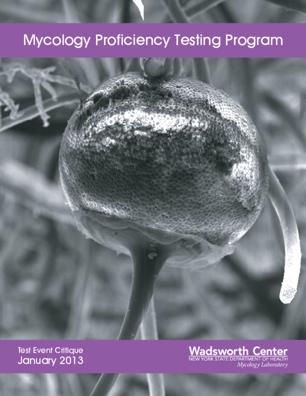 (PDF) Rhizopus Oryzae Skin Infection Treated With Posaconazole in a Boy ...