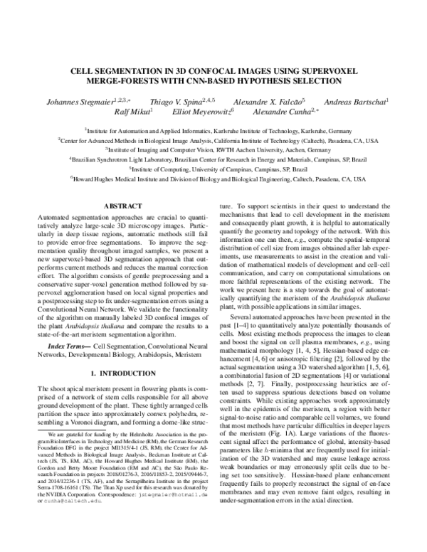 Pdf Cell Segmentation In 3d Confocal Images Using Supervoxel Merge Forests With Cnn Based