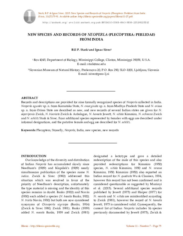 (PDF) New Species And Records Of Neoperla (Plecoptera: Perlidae) From India