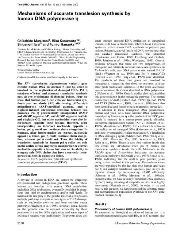 (PDF) Mechanisms of accurate translesion synthesis by human DNA ...