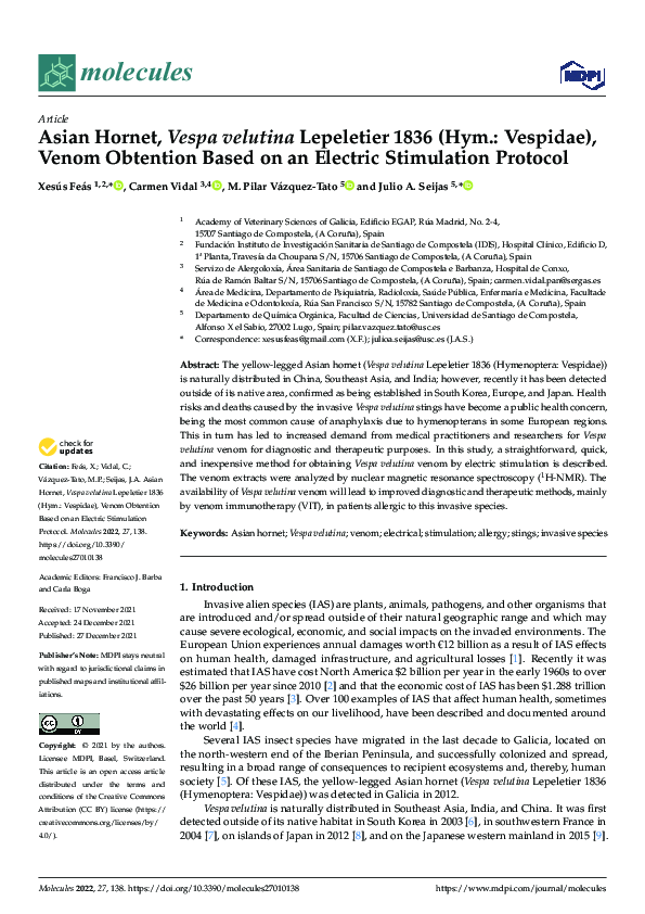 (PDF) Asian Hornet, Vespa velutina Lepeletier 1836 (Hym.: Vespidae ...