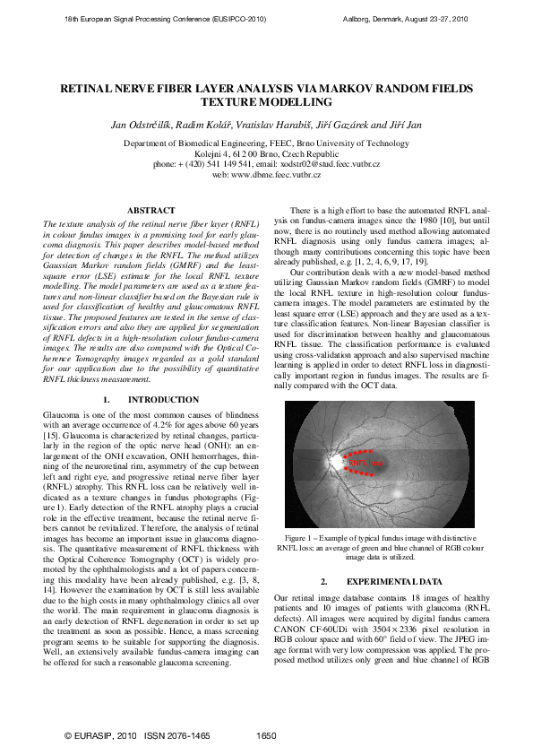 (PDF) Retinal Nerve Fiber Layer Analysis Via Markov Random Fields Texture Modelling
