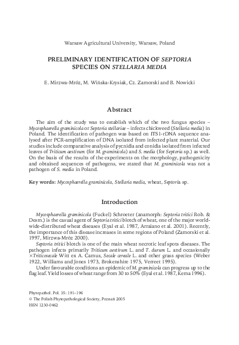 (PDF) Preliminary identification of Septoria species on Stellaria media